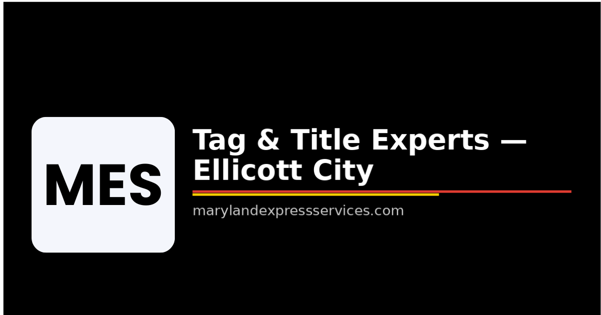 Maryland MVA Flag Codes Explained (Full Guide)